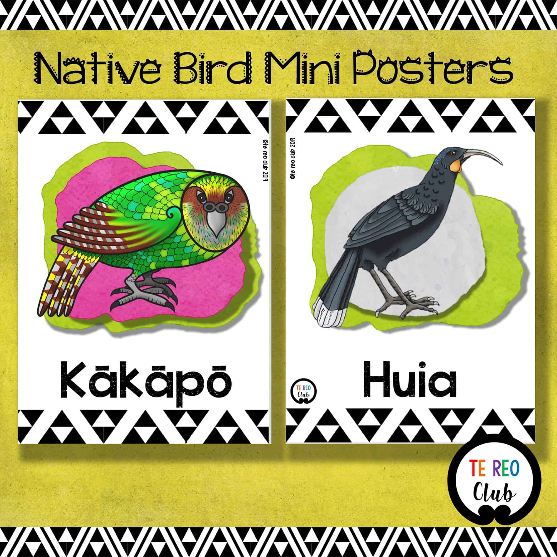 Native Birds Flash Cards - Te Reo Club