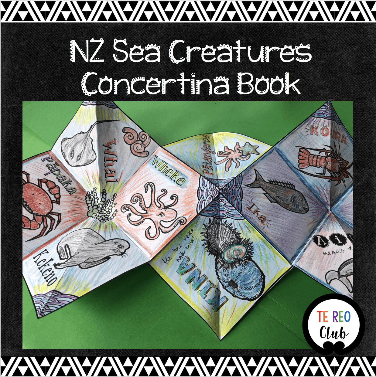 NZ Sea Creatures Concertina Book - Te Reo Club