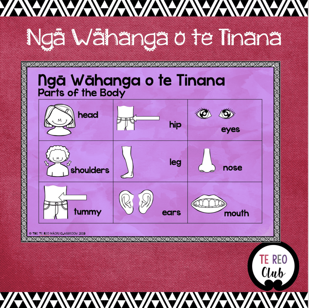 Ngā Wāhanga o te Tinana (Parts of the Body) Learning Folder Pages - Te ...