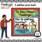 Ngā Kare ā-Roto (Feelings) - Te Reo Club