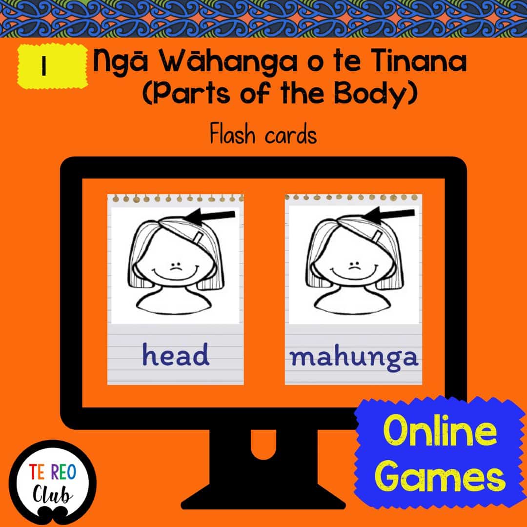 Parts Of The Body Diagram For Grade 1