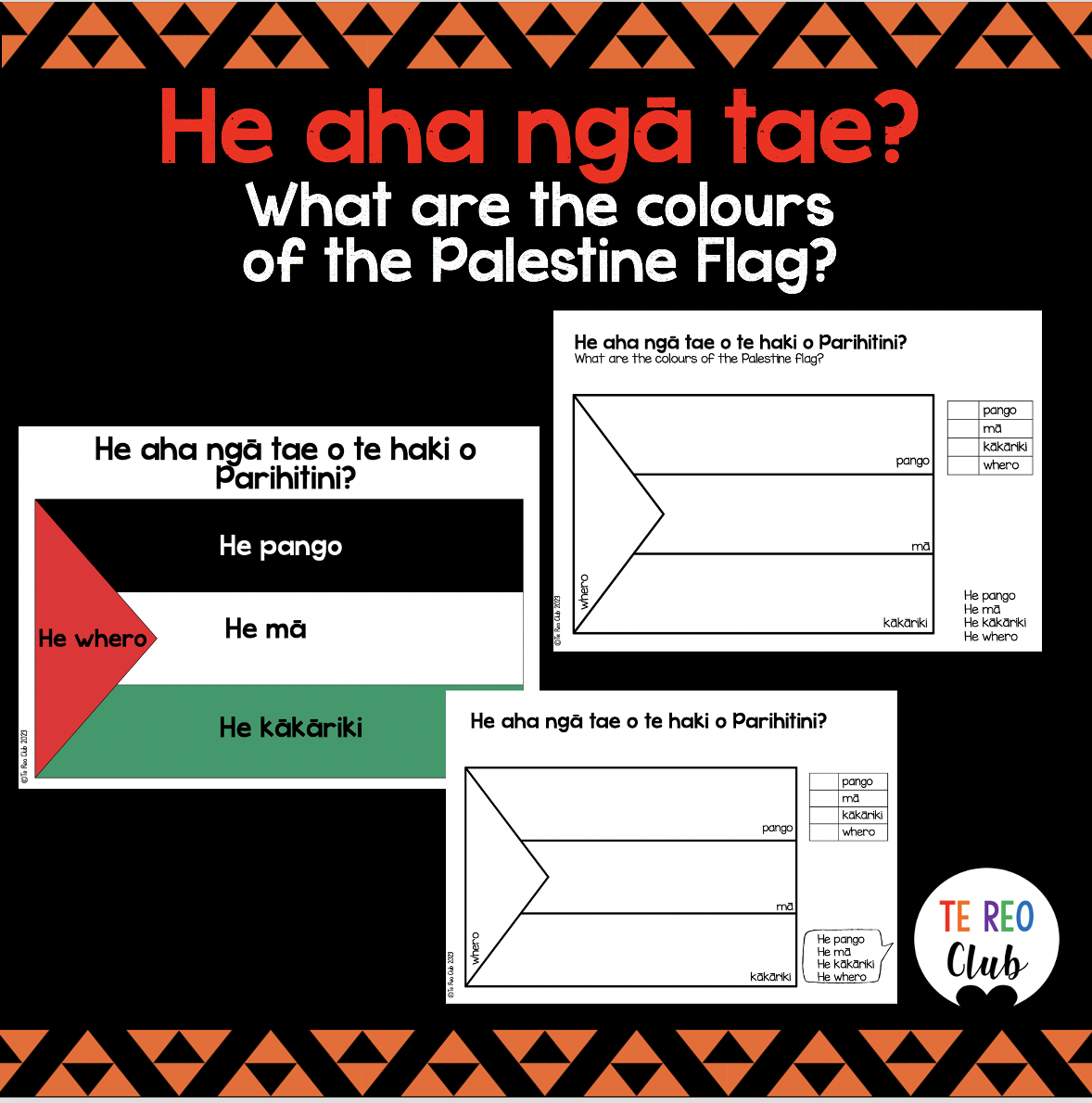 Palestine Flag Colour Activity - Te Reo Club